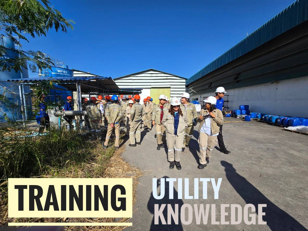TRAINING UTILITY KNOWLEDGE 19 DEC 2024 - QUALIMER CO.,LTD.