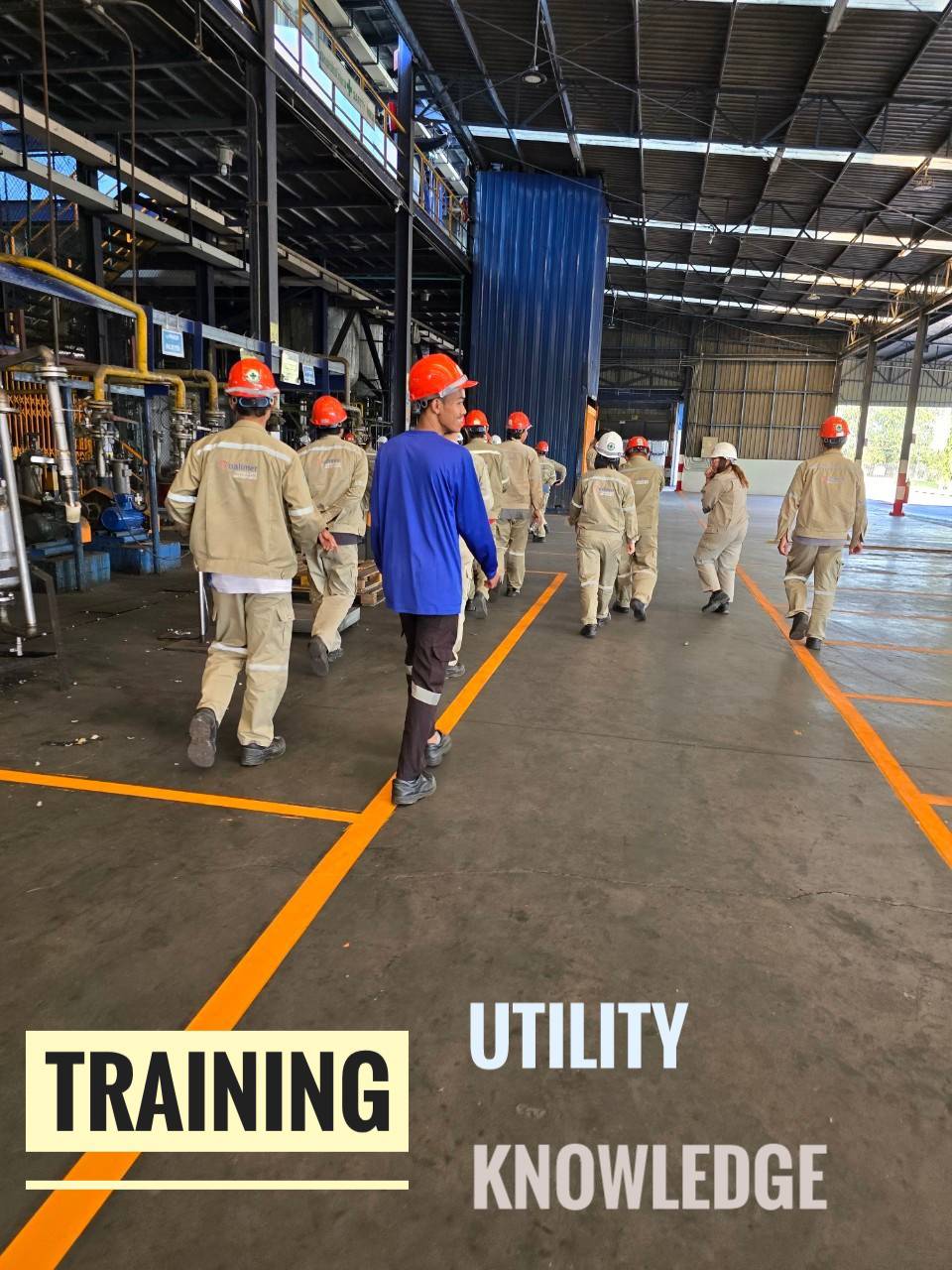 TRAINING UTILITY KNOWLEDGE 19 DEC 2024 - QUALIMER CO.,LTD.