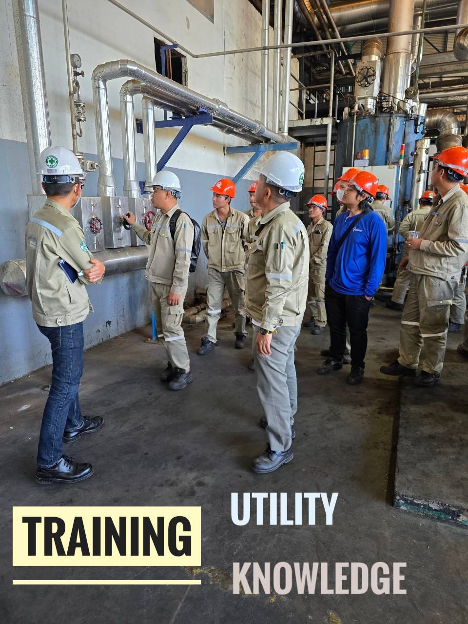 TRAINING UTILITY KNOWLEDGE 19 DEC 2024 - QUALIMER CO.,LTD.